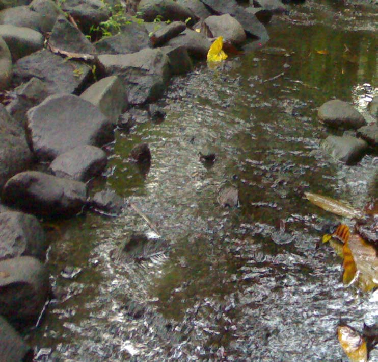 bukál – CulturEd: Philippine Cultural Education Online