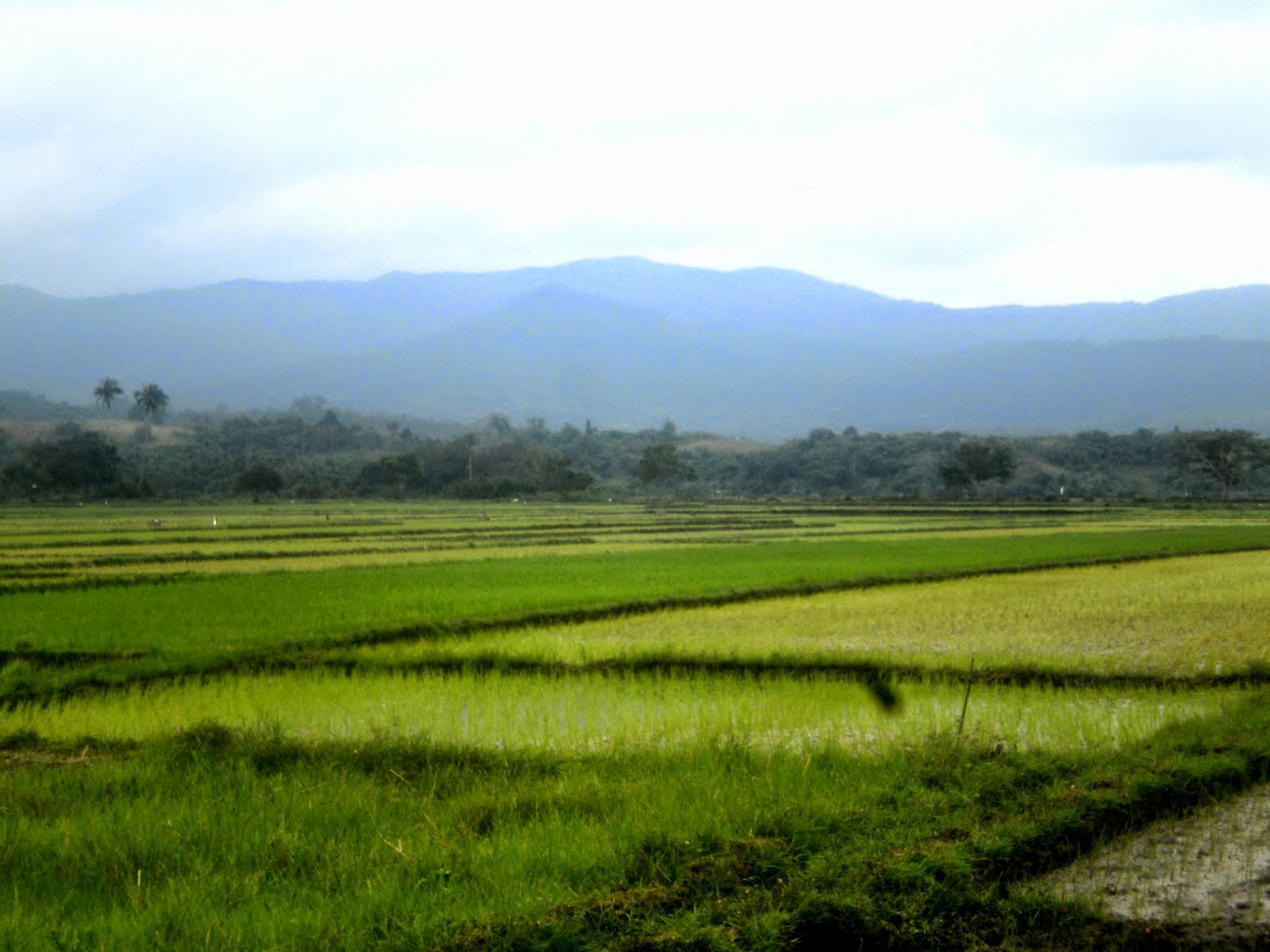 kapatágan – CulturEd: Philippine Cultural Education Online