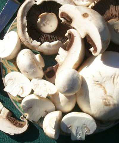 kabuté – CulturEd: Philippine Cultural Education Online