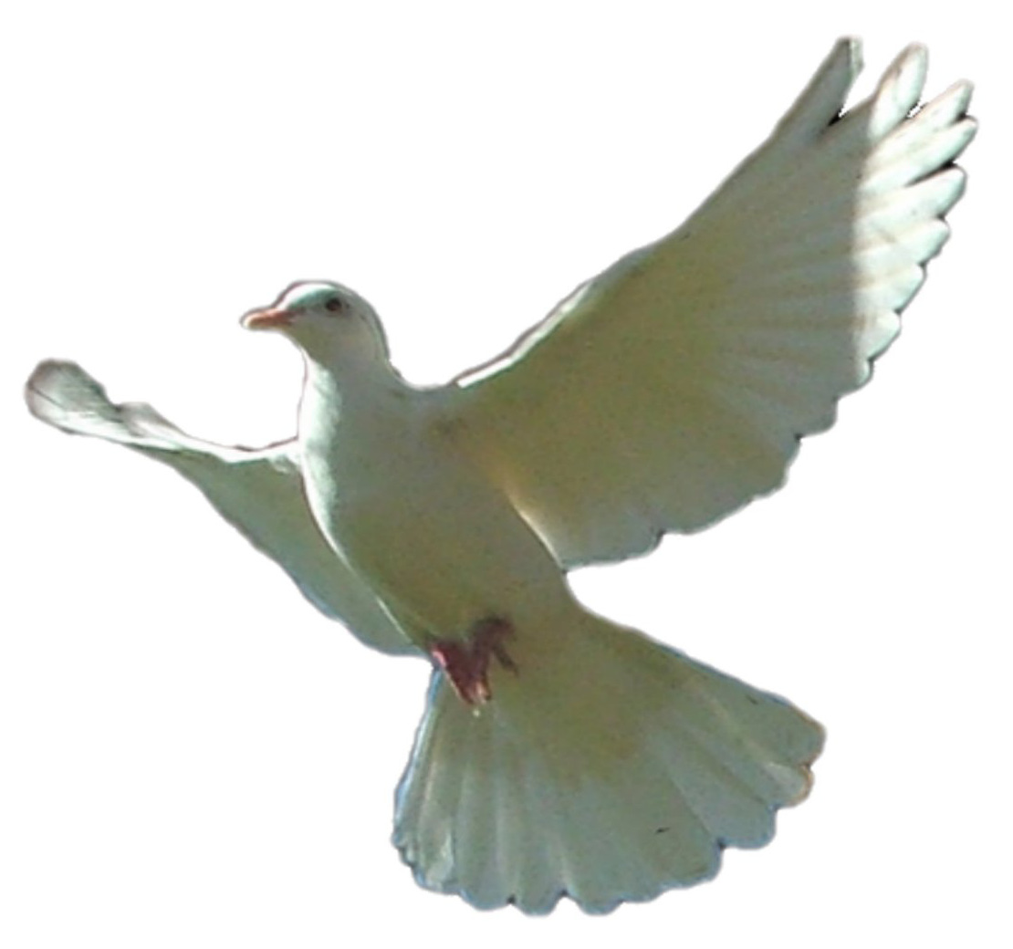 kalapáti – CulturEd: Philippine Cultural Education Online