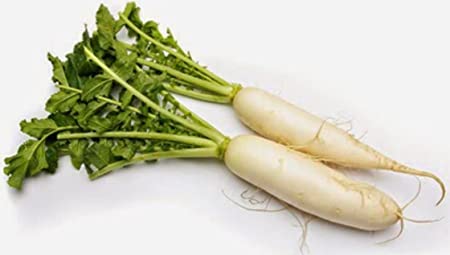 labanós – CulturEd: Philippine Cultural Education Online