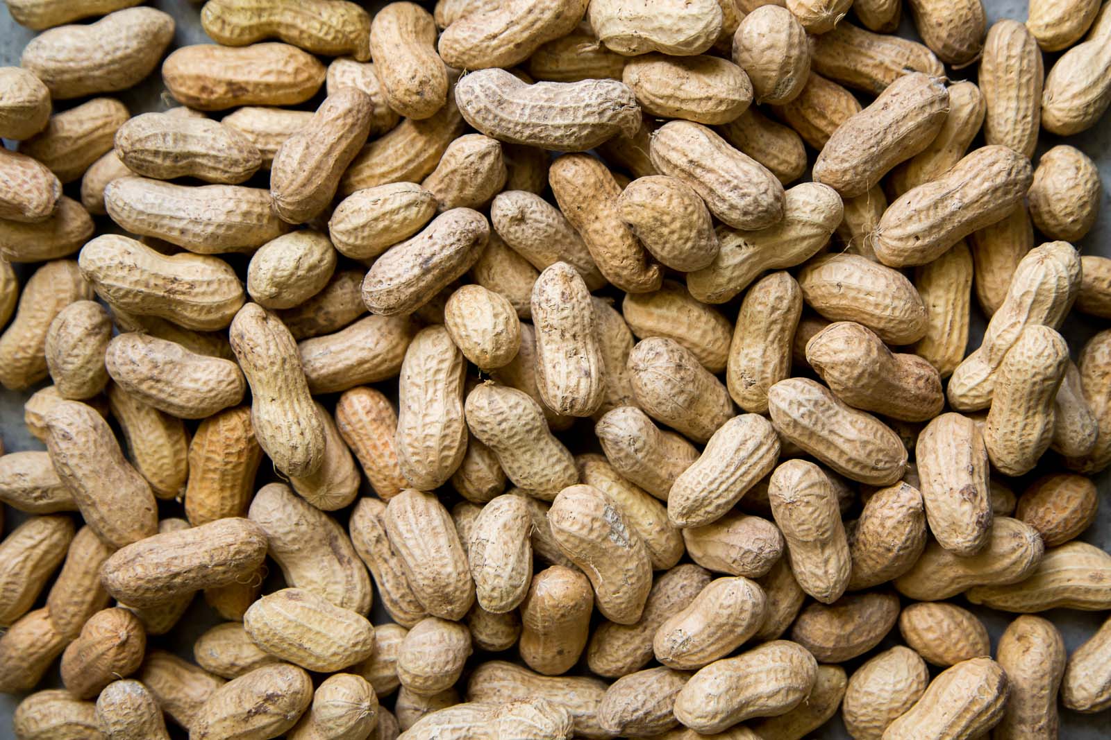 manî – CulturEd: Philippine Cultural Education Online