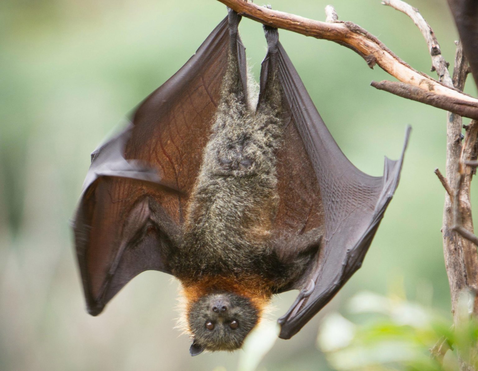 panikì – CulturEd: Philippine Cultural Education Online