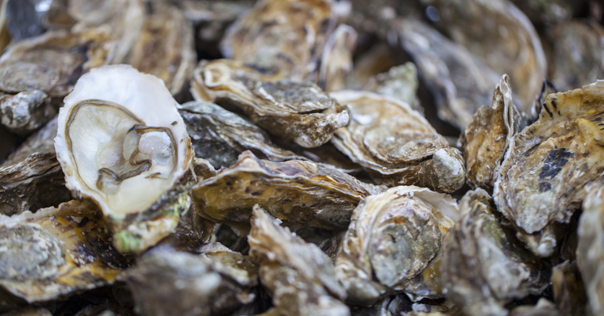 talabá – CulturEd: Philippine Cultural Education Online