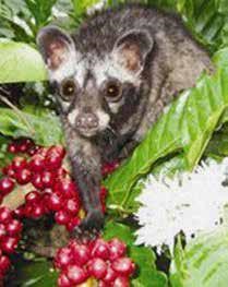 alamíd – CulturEd: Philippine Cultural Education Online