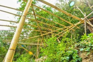 bálag – CulturEd: Philippine Cultural Education Online