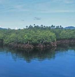 bakáwan – CulturEd: Philippine Cultural Education Online