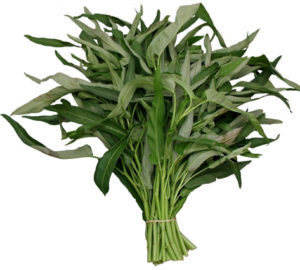 kangkóng – CulturEd: Philippine Cultural Education Online