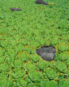 kiyapò – CulturEd: Philippine Cultural Education Online