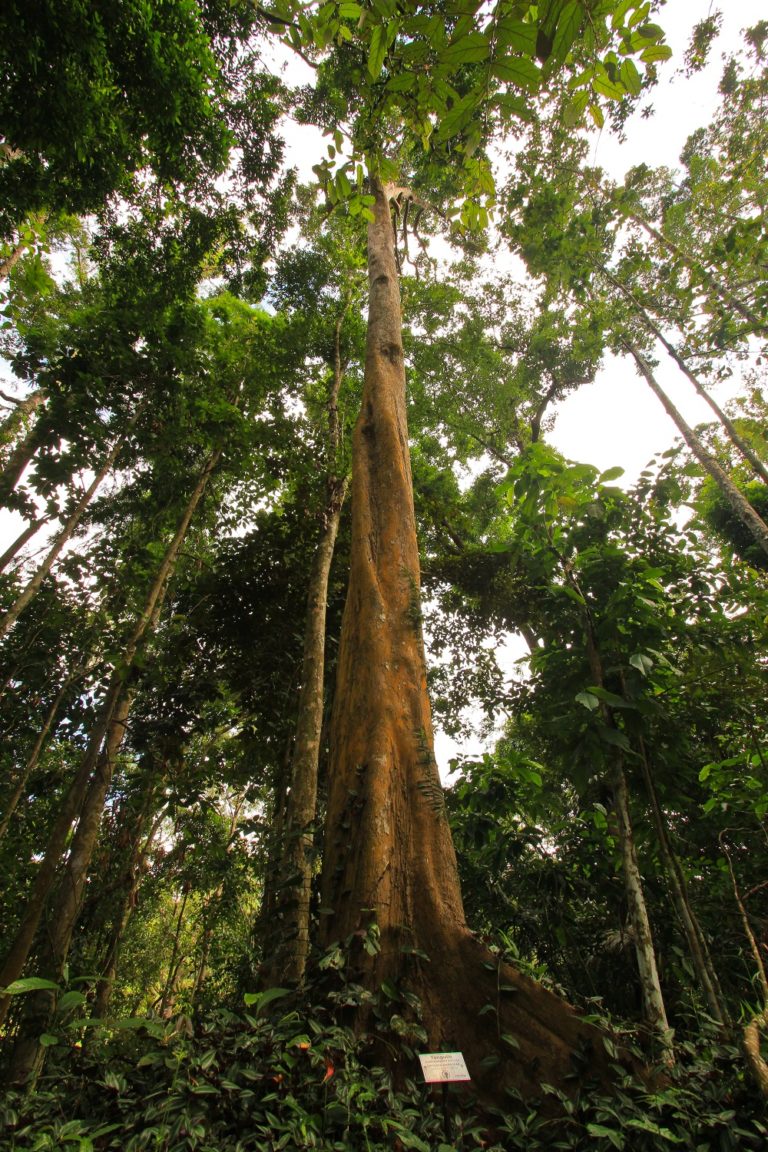 tangíle – CulturEd: Philippine Cultural Education Online